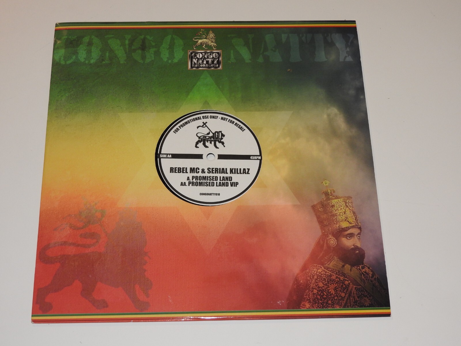 REBEL MC & SERIAL KILLAZ promised land vip 12" RECORD DRUM N BASS CONGO ...