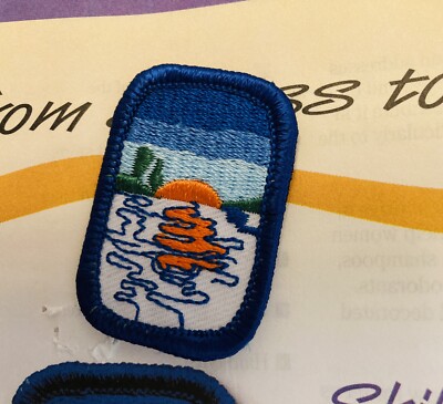 REQUIREMENTS & BADGE FROM STRESS TO SUCCESS GIRL SCOUT IPA BADGE IP ...