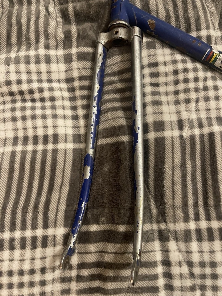 1972/73 Vintage Bottecchia Road Bike - 65cm Steel Frame - 120mm Dropout ...