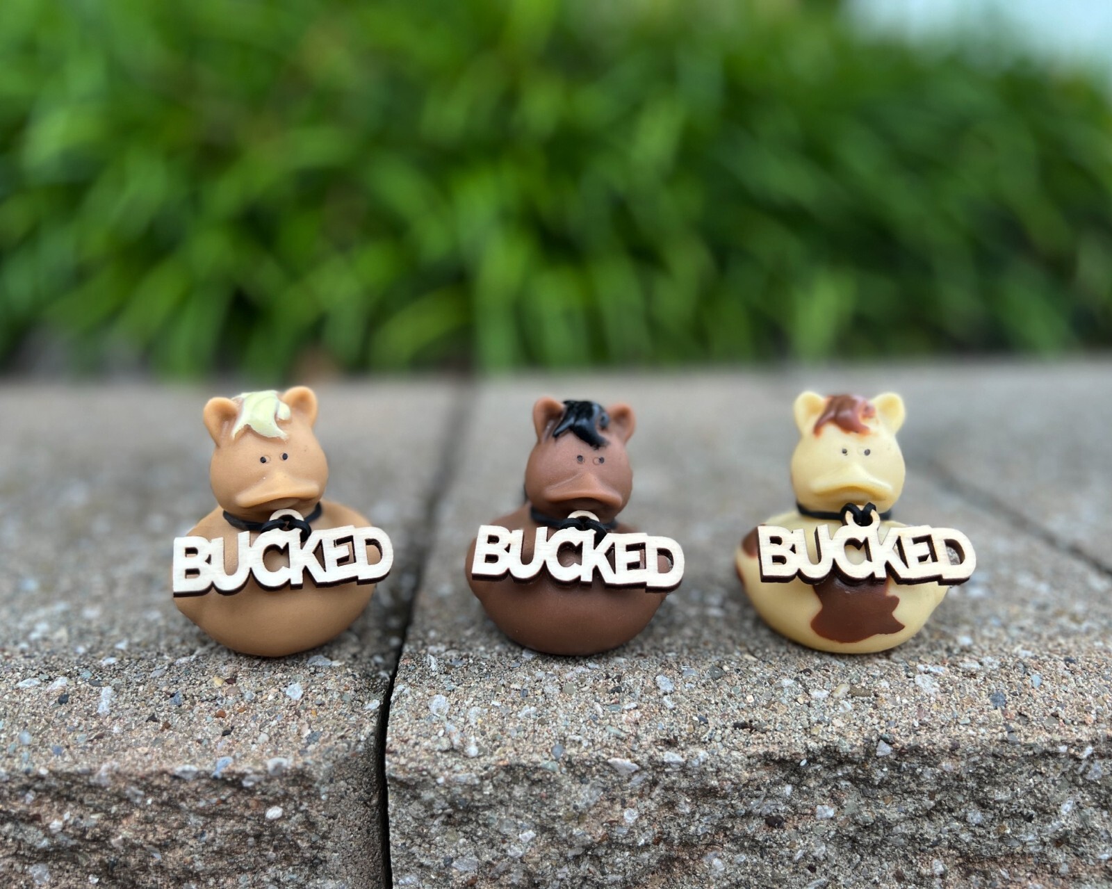 Buck bronco horse ducks rubber duck bucking broncos you've been bucked ...