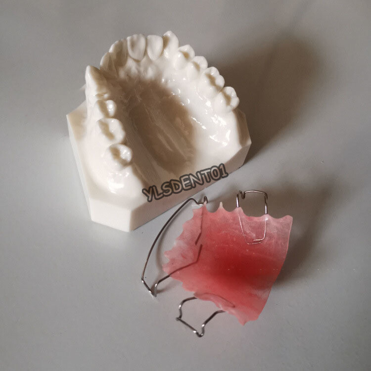 Dental Orthodontic Teeth Model With Hawley Retainer Study Teach Demo ...