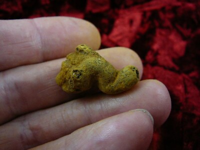 (PP450-28) 1" Genuine Ancient TURTLE POOP Coprolite DUNG WEIRD WA state ...