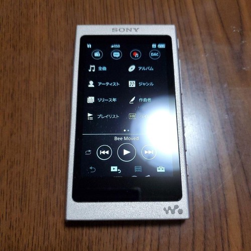 SONY NW-A45 Digital Audio Player DAP Walkman 16GB Grayish Silver F/S | eBay