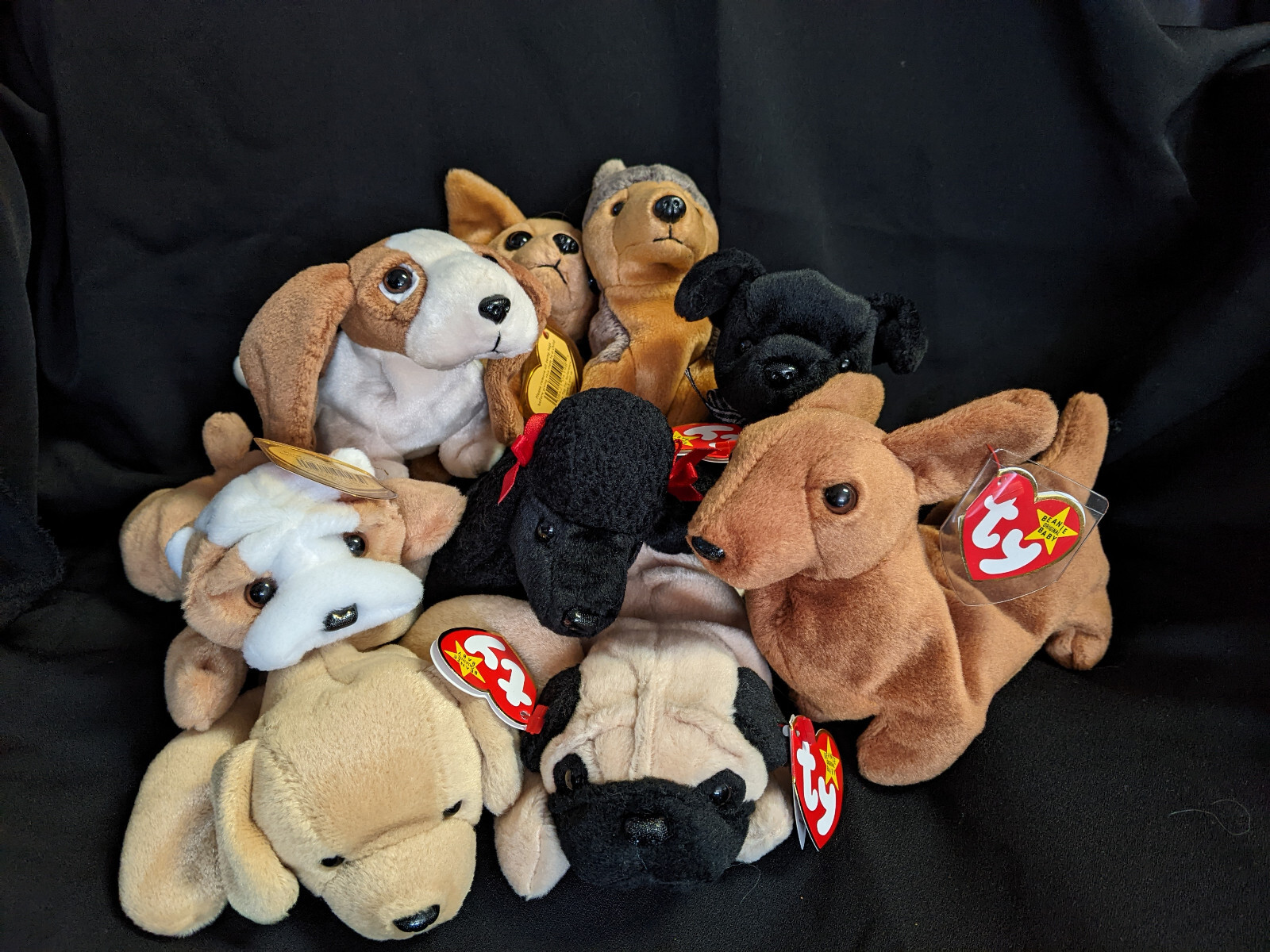 TY Beanie Baby DOGS (Lot of 9) | eBay