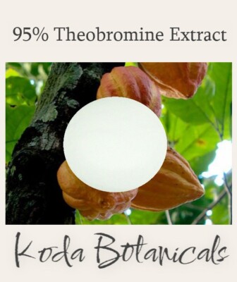 CACAO CHOCOLATE 95% Theobromine EXTRACT POWDER 35g Theobroma cacao ...