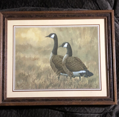 2 Framed Wildlife ART Print Christopher Chris Forrest Canada Geese | eBay