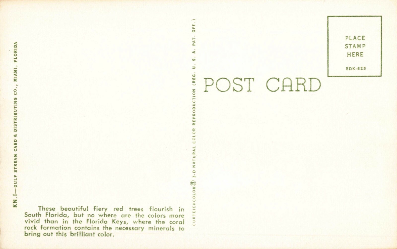 Postcard Flame Tree Florida | eBay