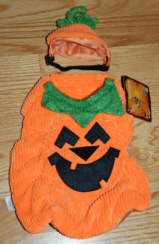 NWT Petco Bootique Pumpkin The Great Pup-Kin Dog Costume Halloween 2 Piece XS | eBay
