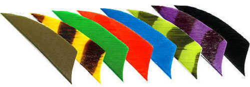 TRUEFLIGHT MFG COMP INC Feathers Shield Cut 2 RW White 100/pk. 47101 | eBay