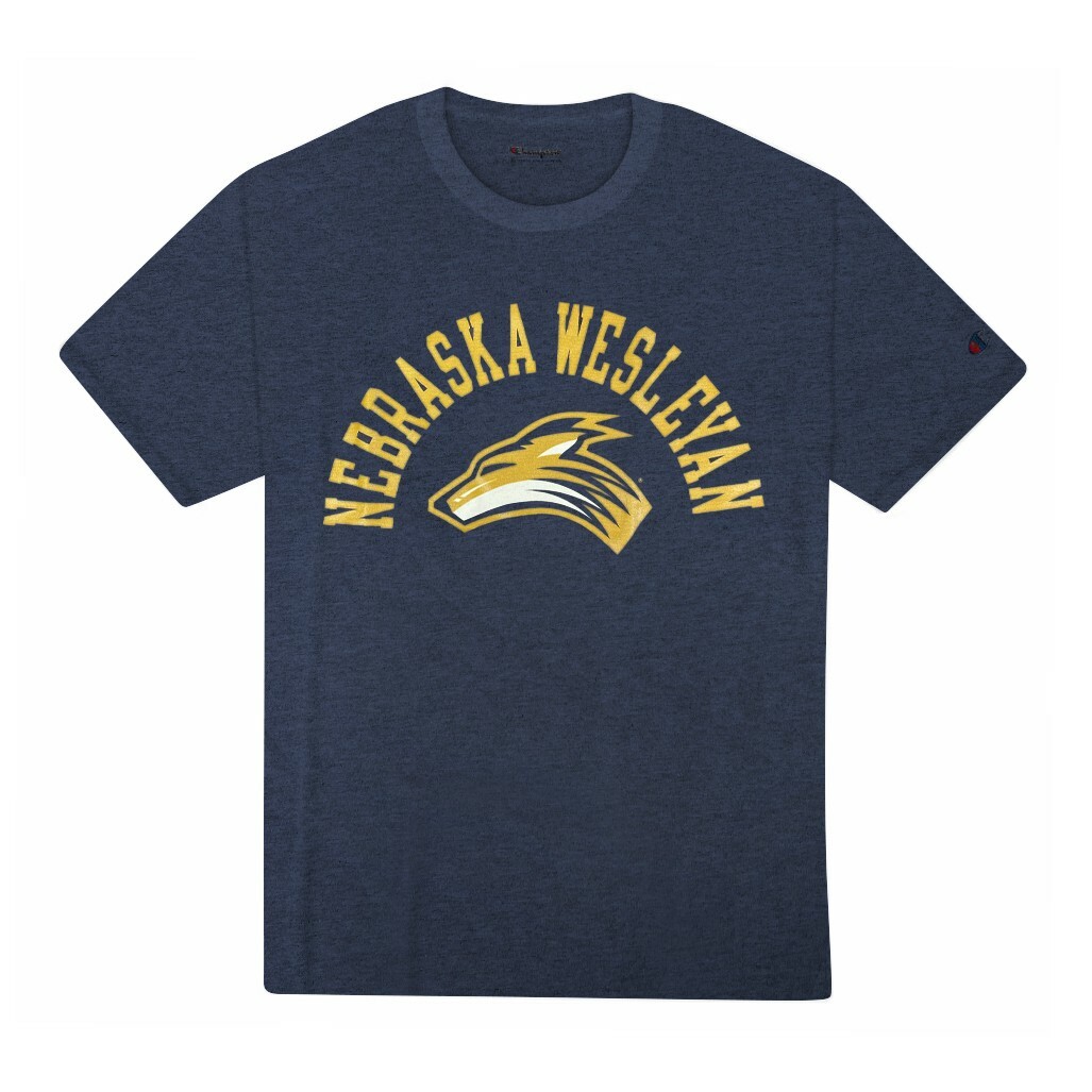 Nebraska Wesleyan Logo Northeast Creates New Educational Partnership