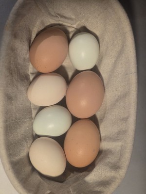 12 (1 Dozen) FERTILE BARNYARD MIX HATCHING CHICKEN EGGS PRIORITY MAIL ...