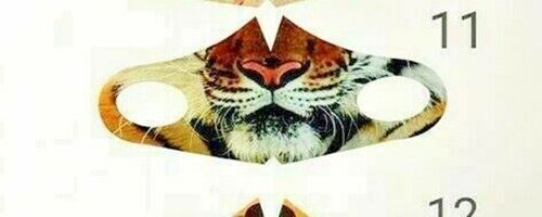 Big Cat LEO FACE COVER lion tiger animal MASK adult teen custom Kitty ...
