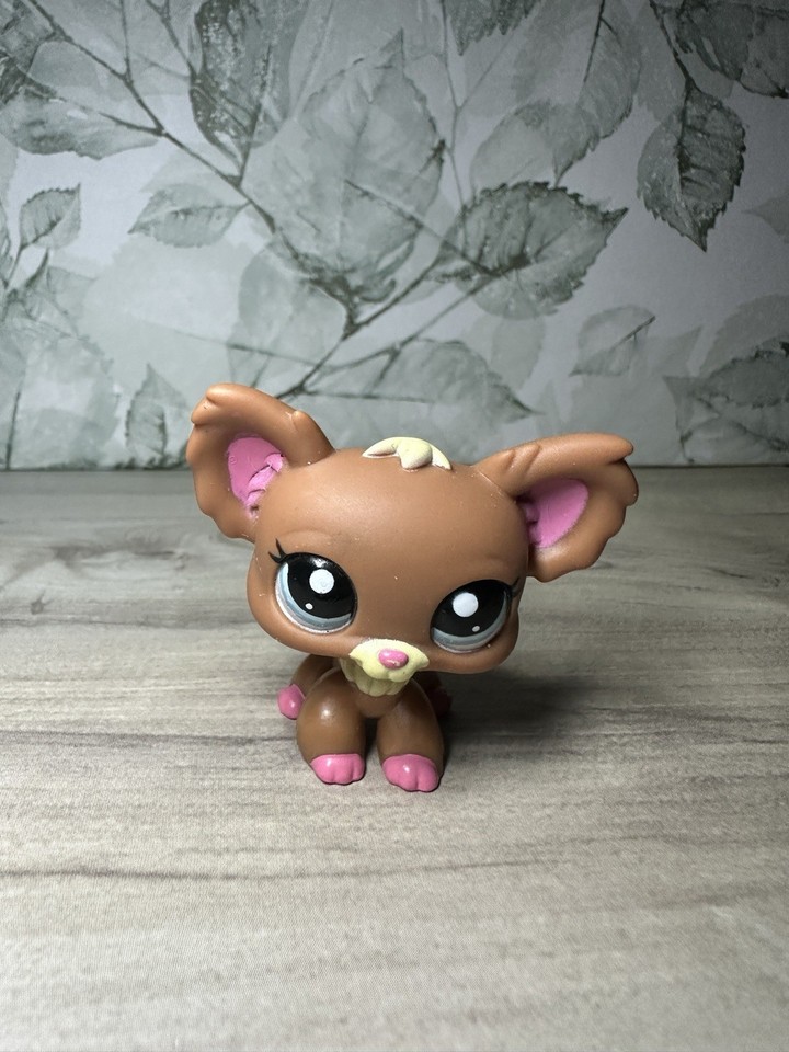 Littlest Pet Shop LPS Chihuahua Dog #1623 Authentic with Accessories | eBay