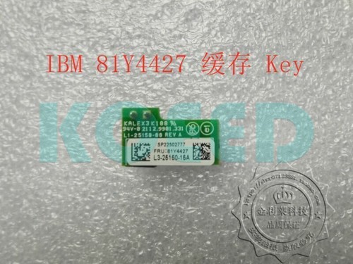 New IBM ServeRAID M5000 Series Performance Accelerator key 81Y4426 ...