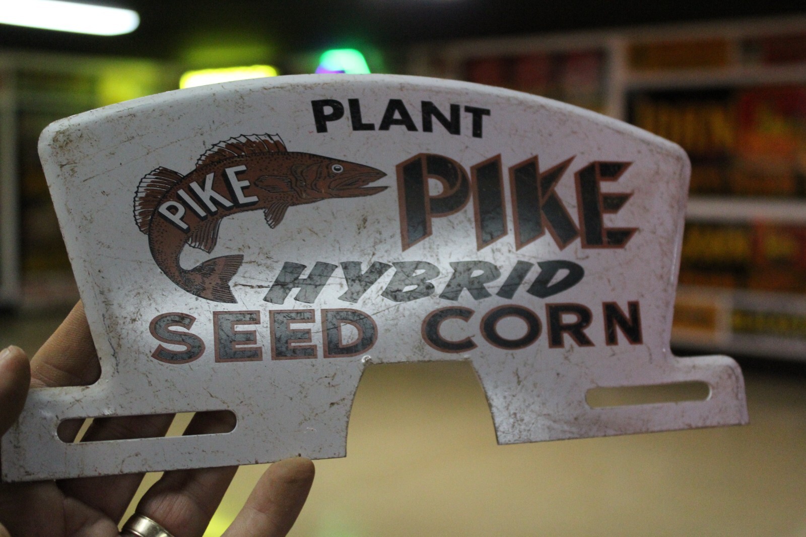 RARE 1950s PLANT PIKE HYBRID SEED CORN PAINTED METAL TOPPER SIGN FEED ...