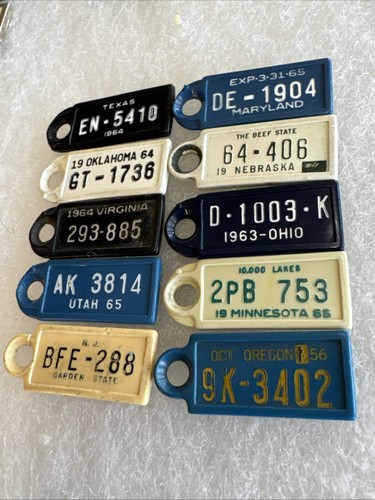 (10) Plastic Style DAV License Plate Keychain Tags. Different States | eBay