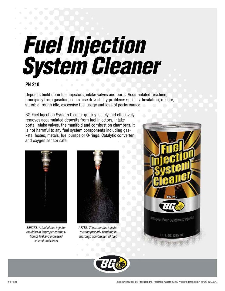 BG Fuel Injection System Cleaner PN 210 | eBay