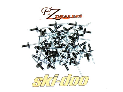 Vintage FITS Ski-doo Snowmobile Black RIVETS 50 LARGE HEAD 3/16 rivets ...
