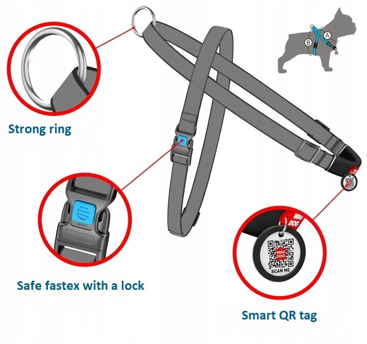 Quick-Release Dog Harness Adjustable Durable Nylon QR Tag WAUDOG Summer ...