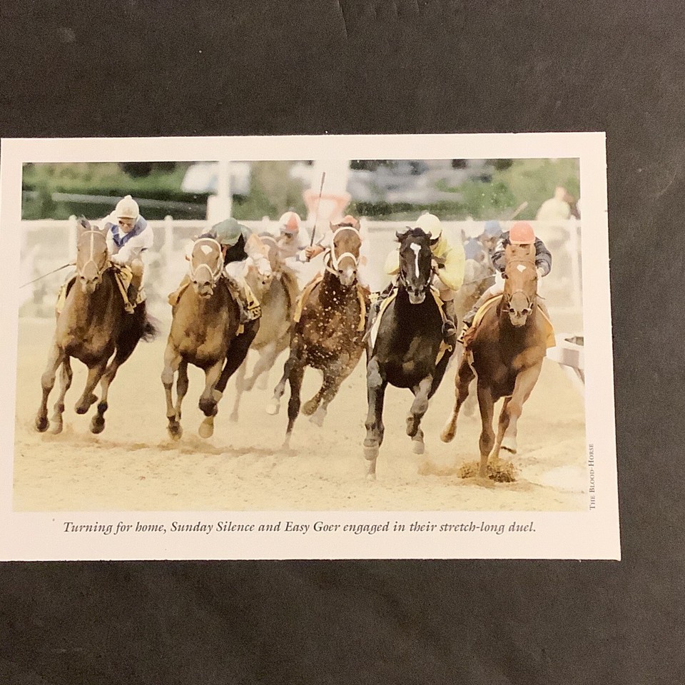 SUNDAY SILENCE EASY GOER Photo Horse Racing 1989 PREAKNESS STAKES | eBay