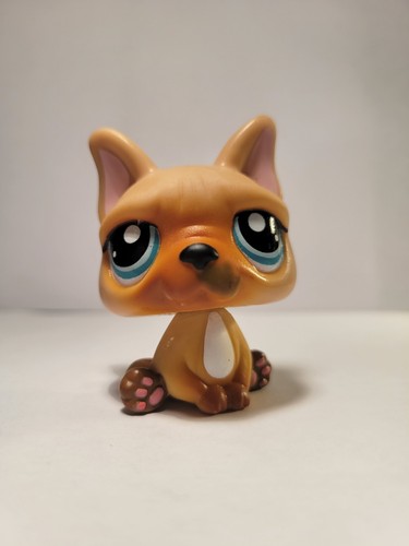 LPS- Littlest Pet Shop #1847 Brown French Bulldog with Blue Eyes | eBay