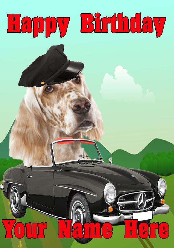 English Setter Dog nfd168 Chauffeur Driver Fun Cute Personalised ...