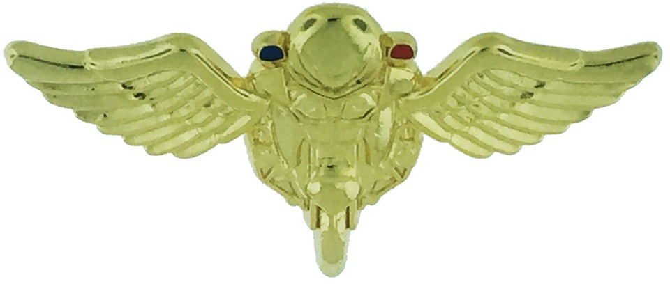 Police Motor wings uniform pin in Gold | eBay
