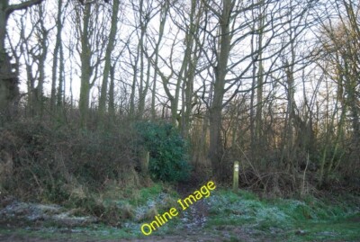 Photo 6x4 Fox Hill Frogshall c2013 | eBay UK