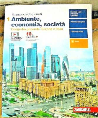 AMBIENTE, ECONOMIA, SOCIETA' VOL. 1 - FRANCESCA CARPANELLI - ZANICHELLI | eBay