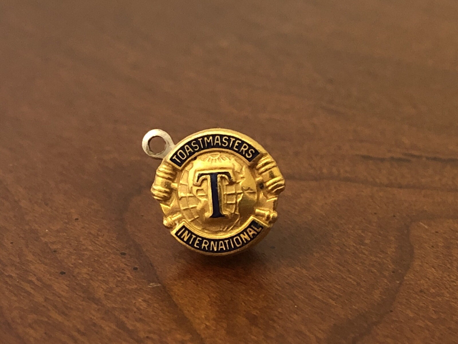 TOASTMASTERS International Pin 1/10 10k Gold-Filled | eBay