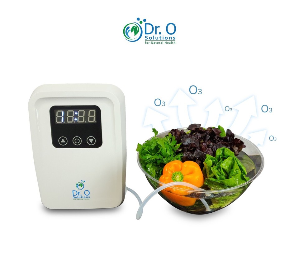 Ozone Generator Air Water Purifier Food Vegetable Fruit Sterilizer Odor Remover | eBay
