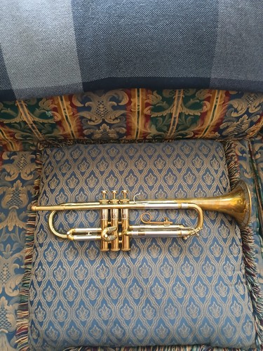 Olds Super Trumpet with WolfPak Case | eBay