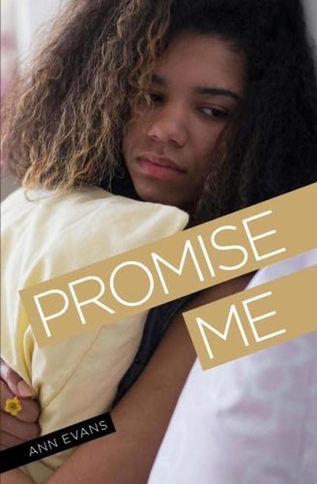 Promise Me by Ann Evans Paperback Book | eBay