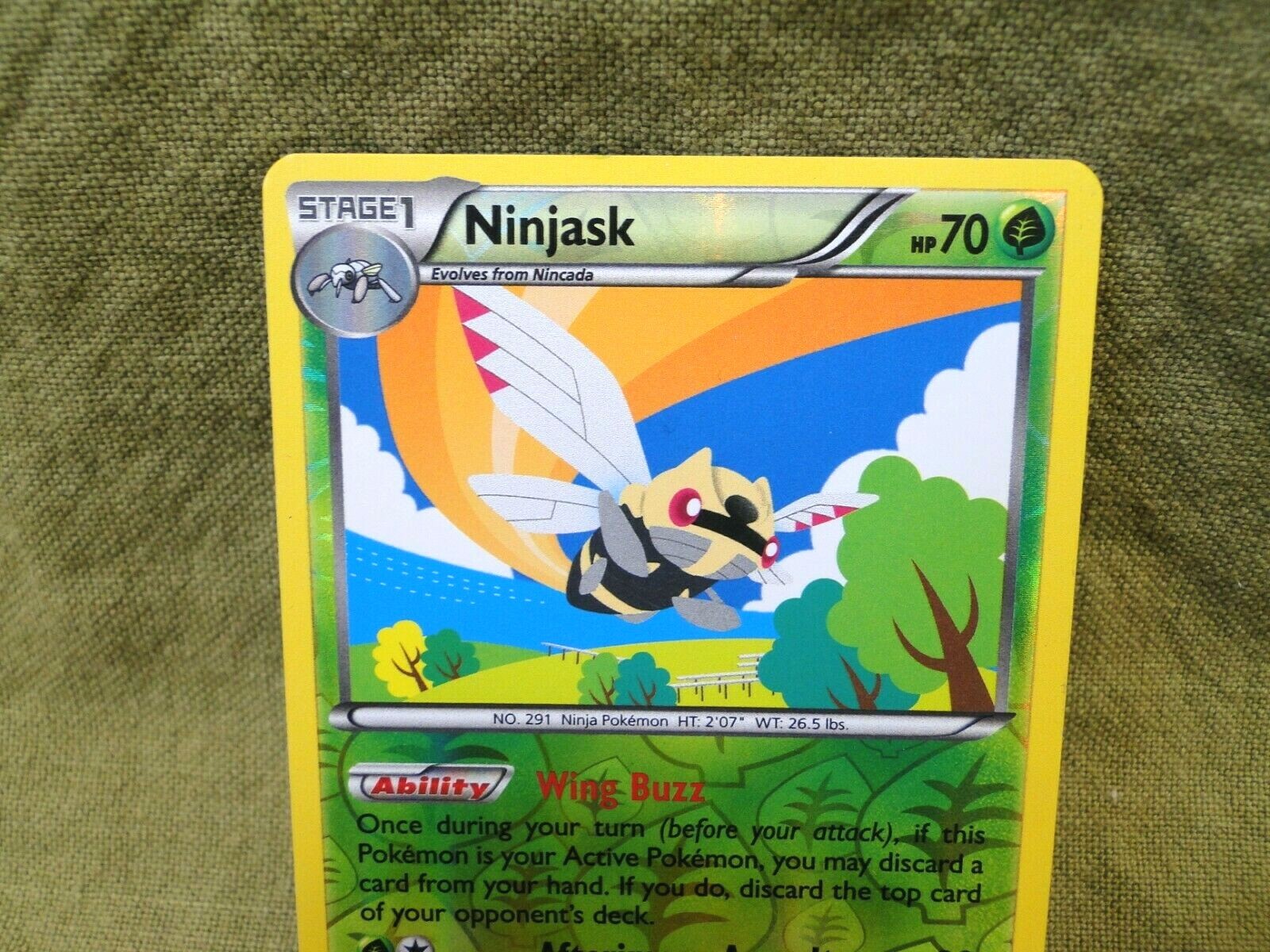 Pokemon Ninjask Wallpaper