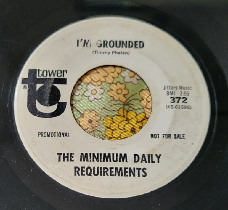 Primitive Garage Punk Promo 45 Minimum Daily Requirements I'm Grounded ...