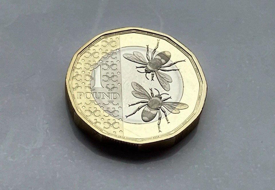 New One Pound Coin King Charles BEE COIN 2023 £1 coin | eBay UK