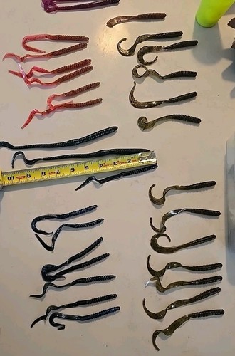 Zoom 4.5, 6" Finesse Worm Plastic Fishing Lures Baits 31-Pack Variety ...