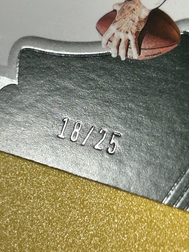 Aaron Rodgers Auto 2022 National Treasures All-Pro Signatures SSP /25 ...