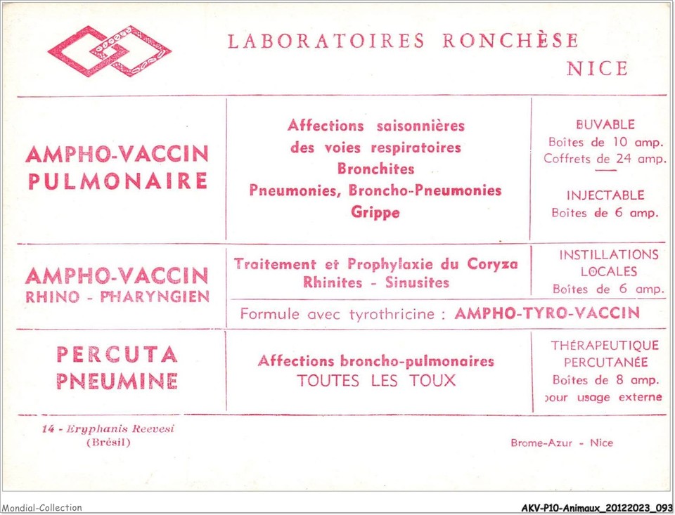 AKVP10-0793-ANIMALS - BUTTERFLY - ERYPHANIS REEVESI - BRAZIL | eBay