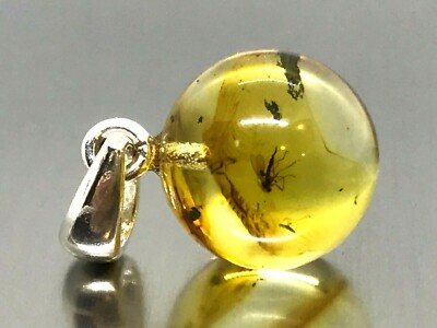 Baltic AMBER PENDANT INSECT Gift Insects Round Bead AMBER Silver 925 1 ...