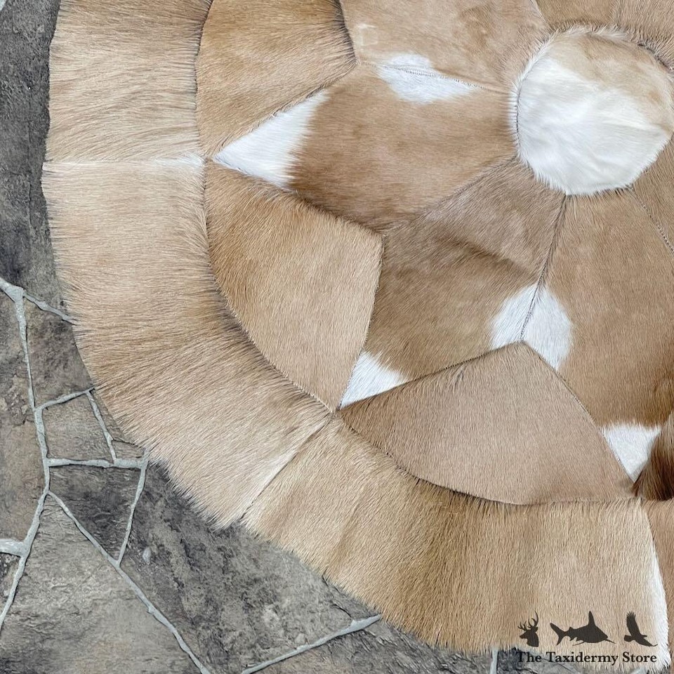 #27908 E+ | African Springbok Hide Taxidermy Throw For Sale | eBay