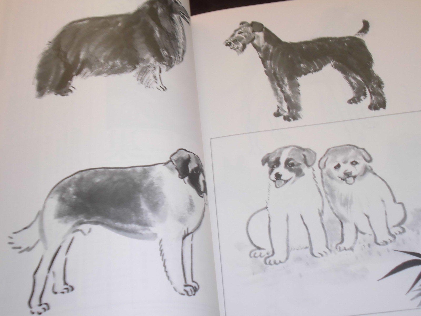 Japanese Sumi-e Drawing Sample Book Kikan Suibokuga Bessatsu 4 Animals ...