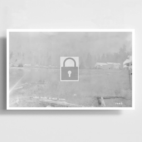 Lake Riley Oso Washington WA Reprint Postcard | eBay