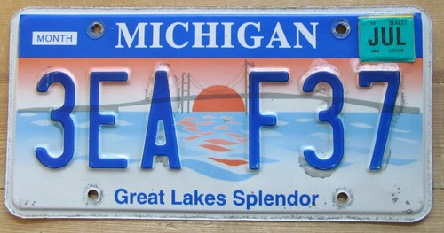 Michigan 2008 GREAT LAKES SPLENDOR MACKINAC BRIDGE License Plate # 3EA ...