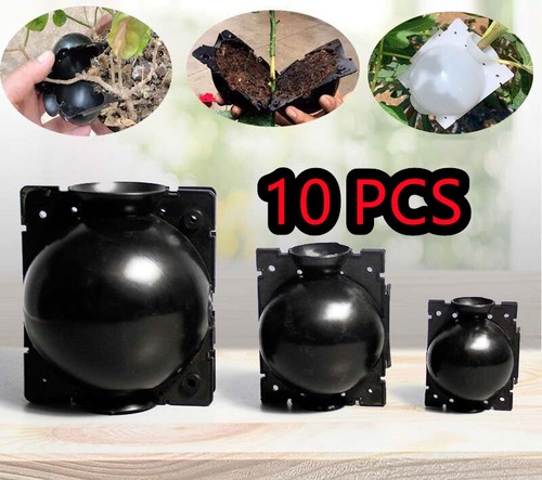 10× Plant Rooting Devices Growing Grafting Box High Pressure ...