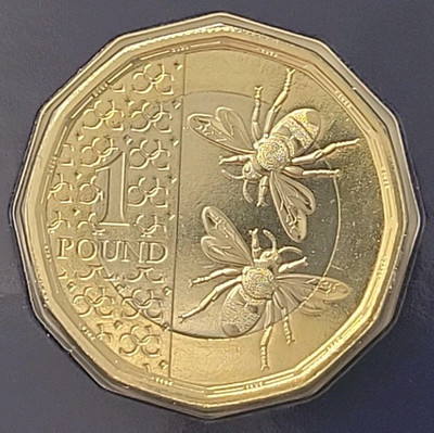 2023 Bees UK Brilliant Uncirculated £1 One Pound Coin With Special ...