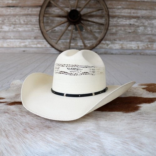 Stetson White Horse Straw Cowboy Hat | eBay