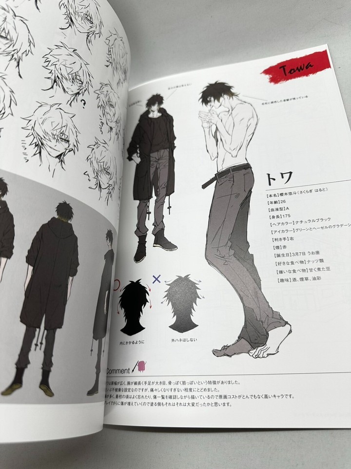 [USED] Nitro+CHiRAL Official Works Slow Damage Canvas Art & Works Book ...