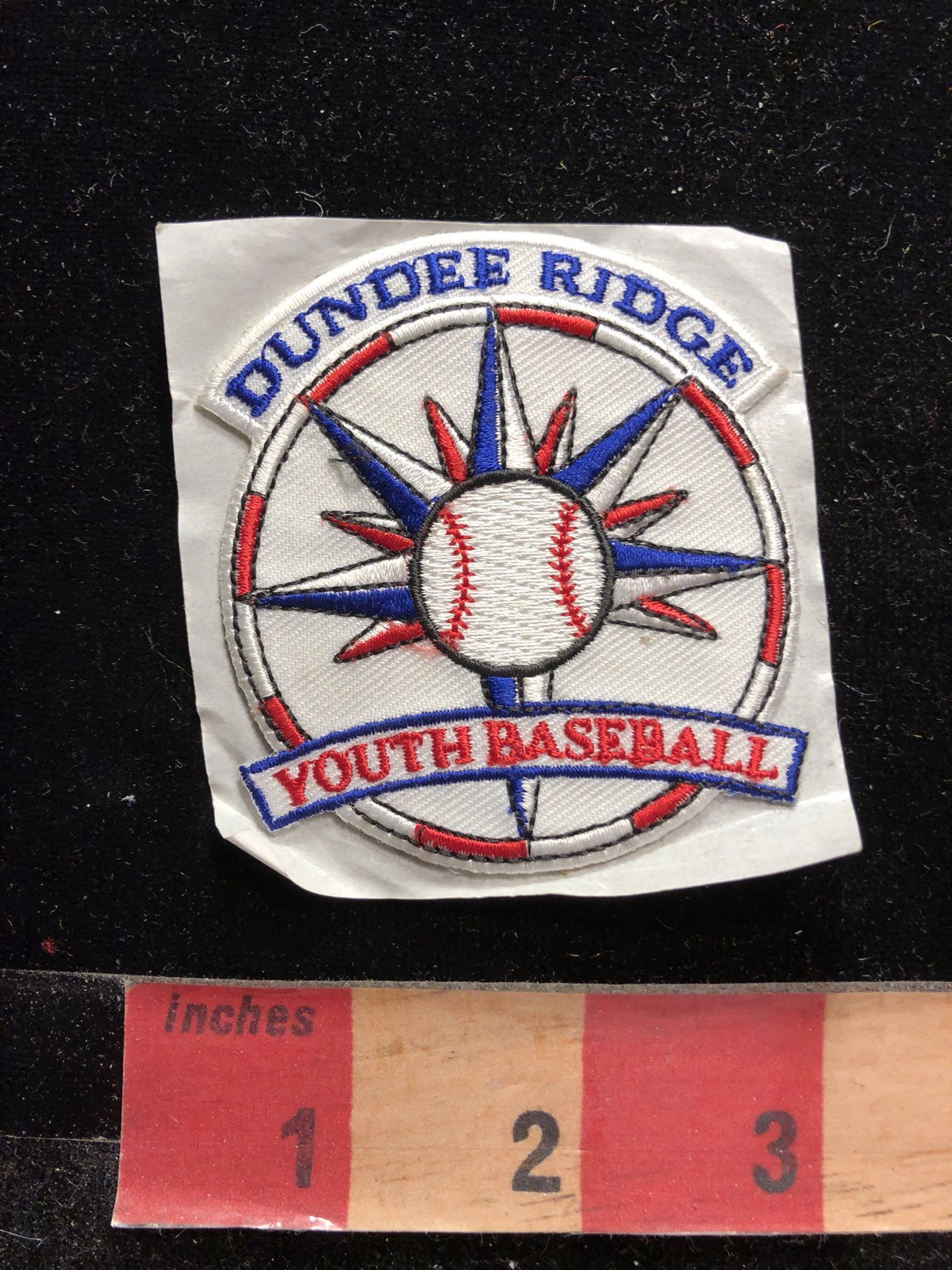 DUNDEE RIDGE YOUTH BASEBALL Patch 83V7 | eBay