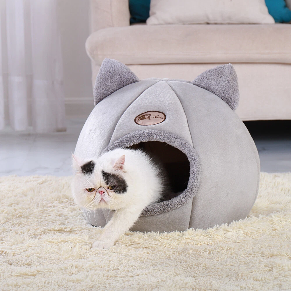 Igloo Cat House